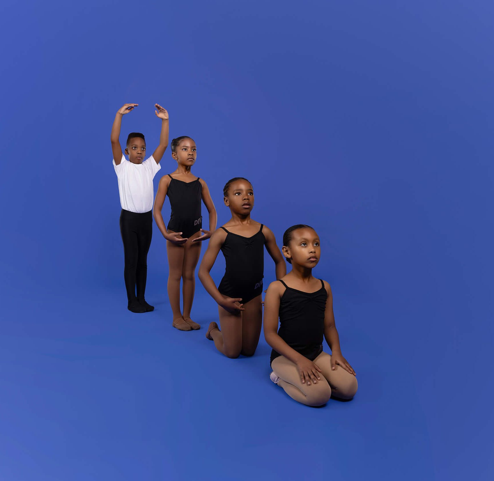 Level Divisions - Dance Institute of Washington